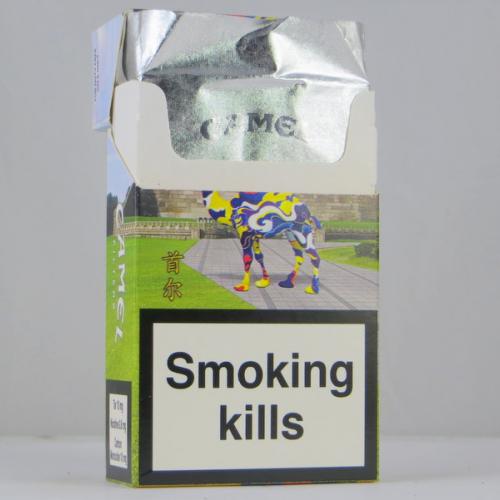 Camel Pakistan W1 11 | TPackSS: Tobacco Pack Surveillance System